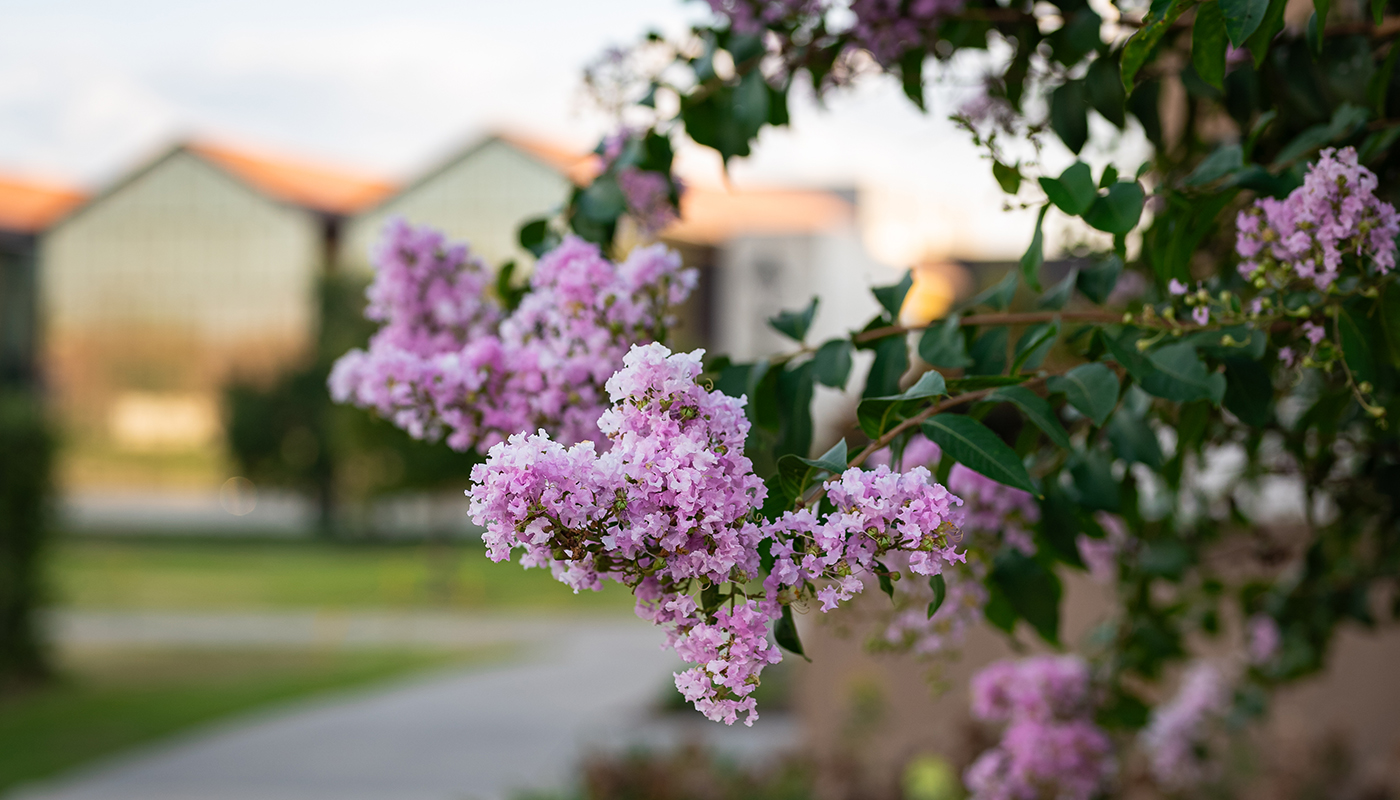 MBA at a Glance | LSU E. J. Ourso College of Business