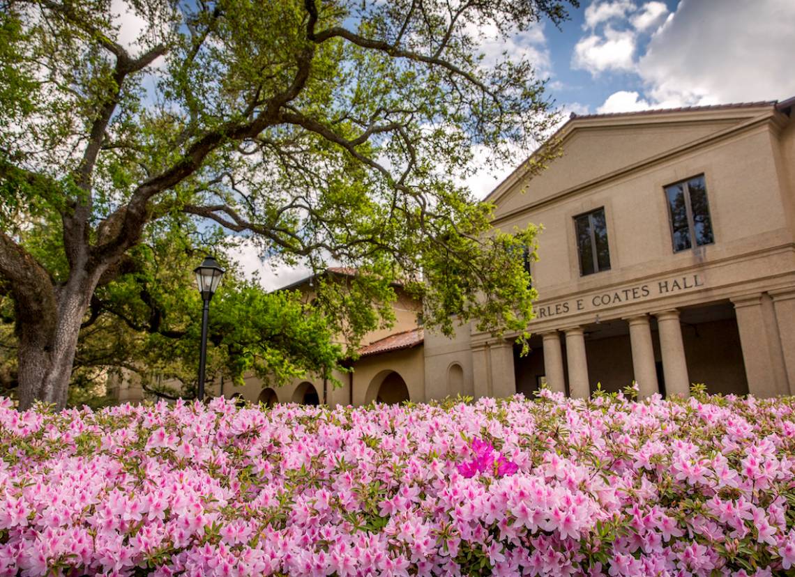 LSU School of Leadership & Human Resource Development